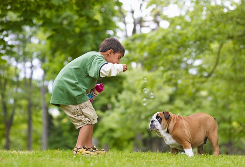 20+ Fun Things to Do Outside on a Good Day - EnkiVeryWell